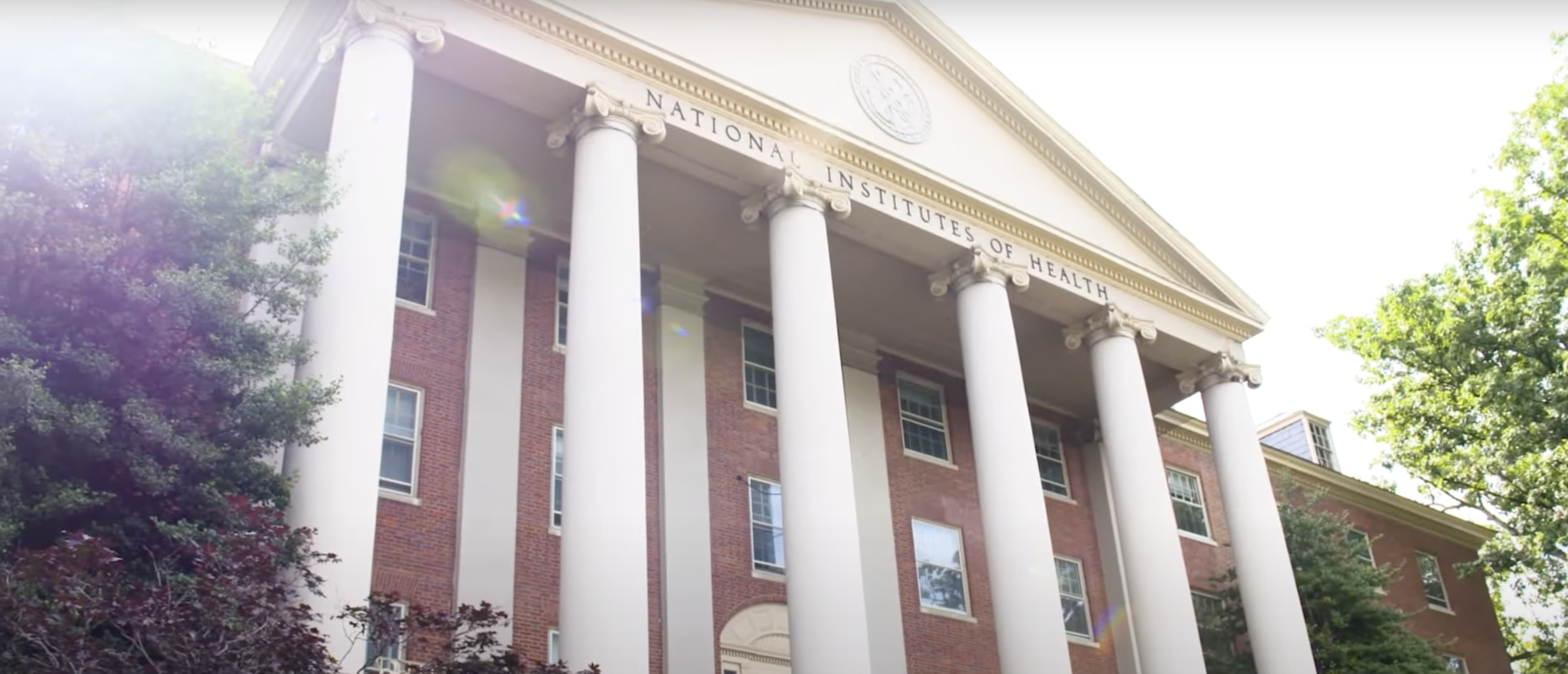 ISAIAH HANKEL: NIH And NSF Cuts Strike Major Blow To Academic Elites